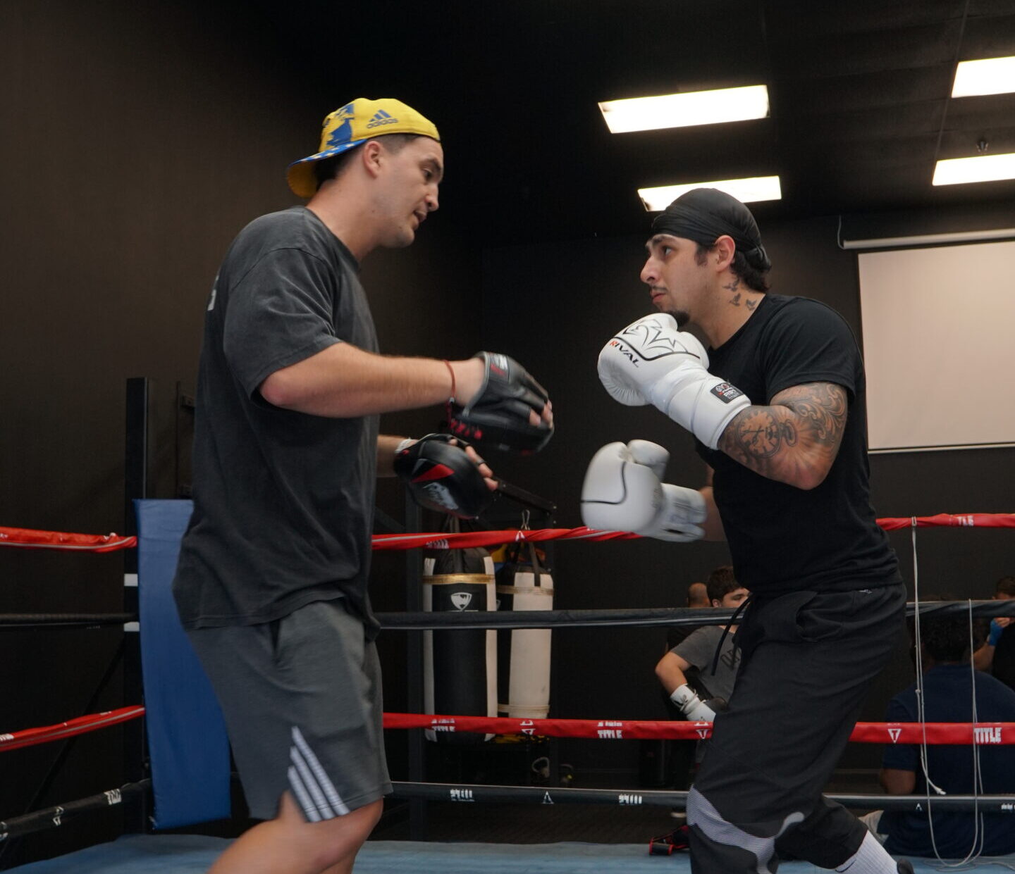 About - KM Boxing Club